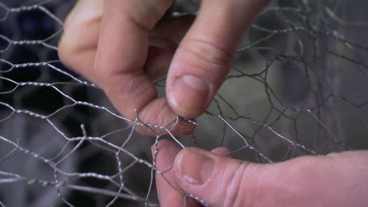 Chicken wire - Areas of art and design: Video playlist - BBC Bitesize