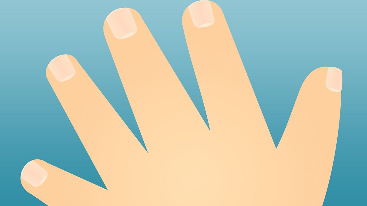 EYFS: Wiggle Waggle - One finger, one thumb - BBC Teach