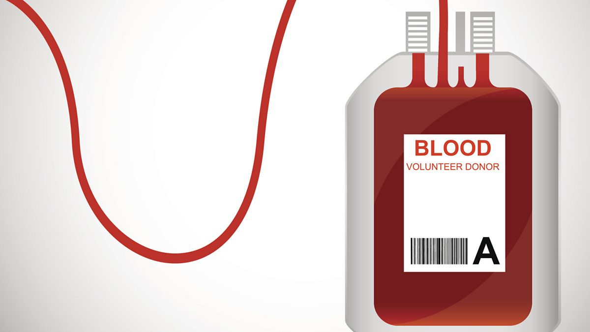 BBC Learning English - 6 Minute English / The wonder of blood