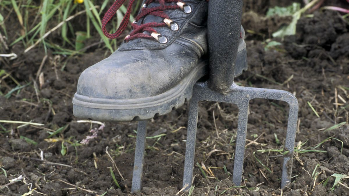 The poem - Letters from Yorkshire by Maura Dooley - AQA - GCSE English ...