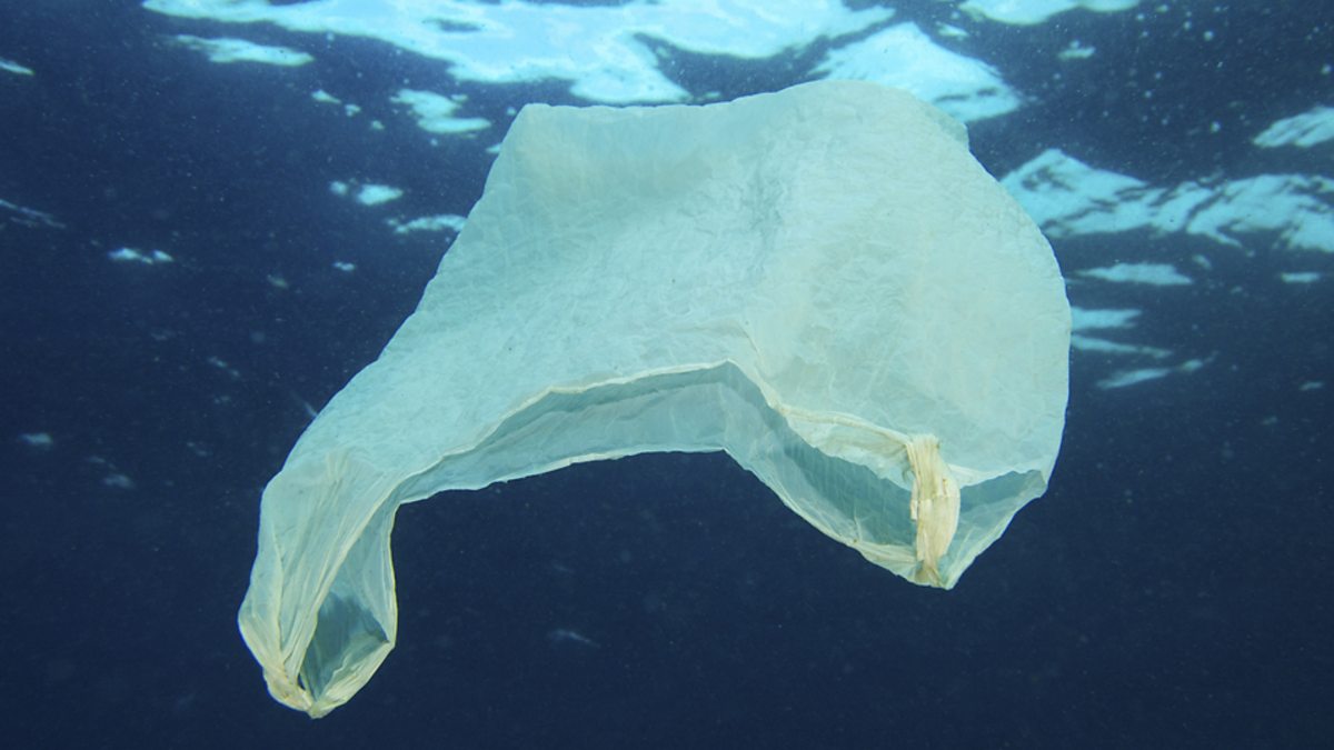 BBC Learning English - 6 Minute English / The impact of plastic