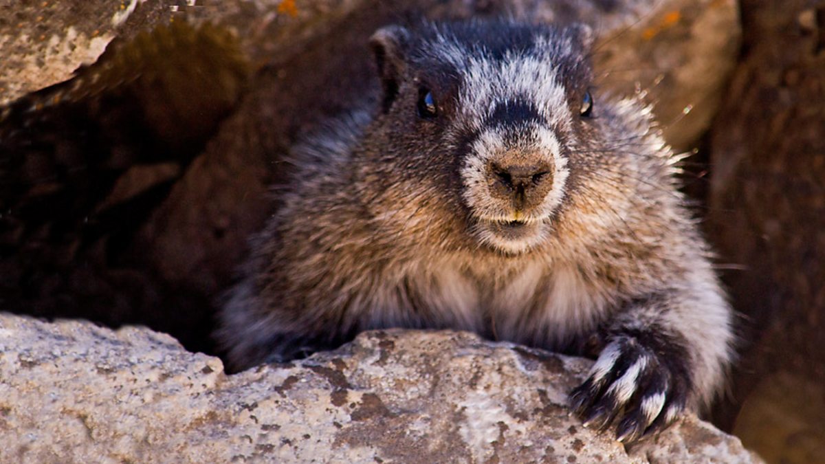 BBC Learning English - 英语大破解 / China getaway delays and Groundhog Day ...