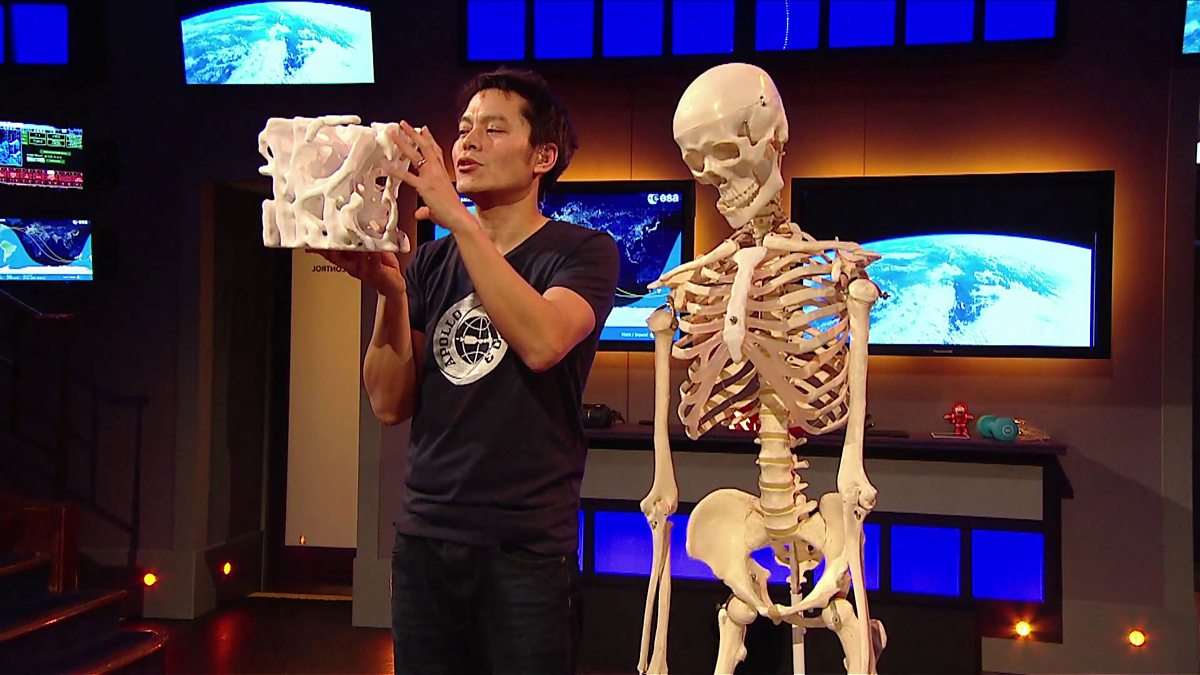 Physics KS3 / GCSE: Why are bones weaker in orbit? - BBC Bitesize