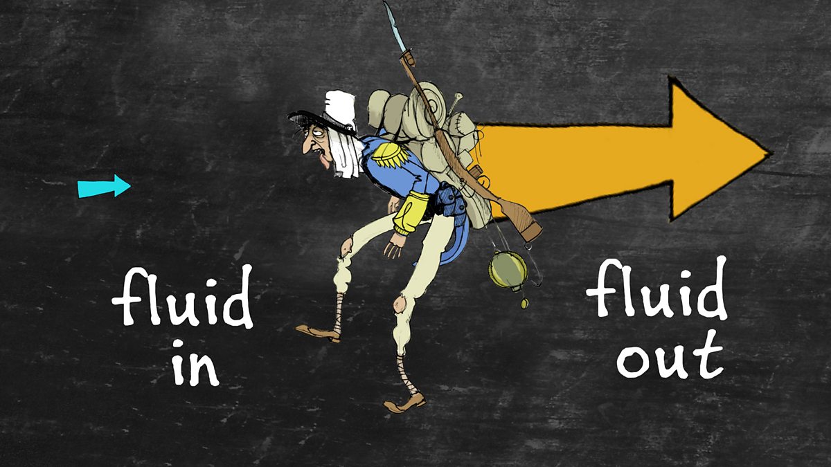 GCSE Design and Technology: Food Preparation and Nutrition - BBC Teach