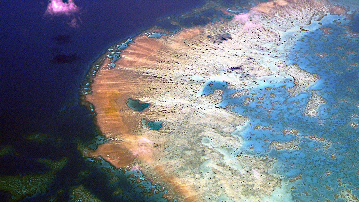 BBC Learning English - News Report / Great Barrier Reef 'severely damaged'