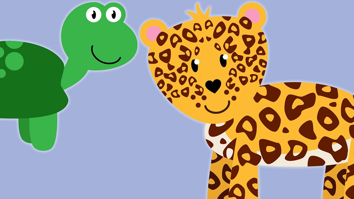 EYFS: Listen and Play - Loud leopards and terrific tortoises - BBC Teach
