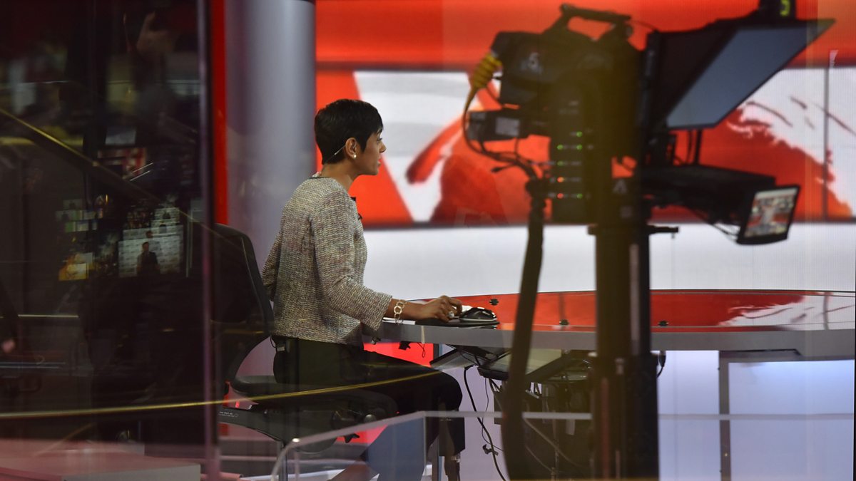 Roles within broadcast journalism - Professional roles within ...