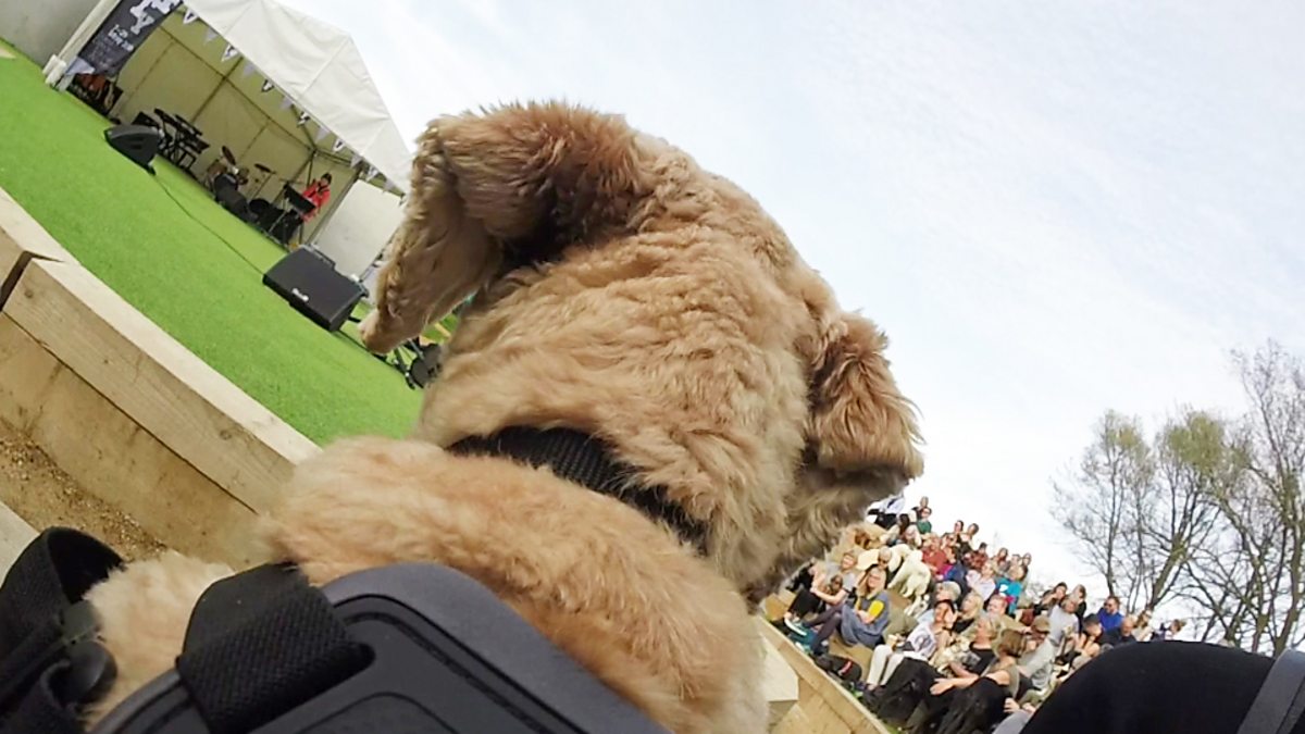 BBC Learning English - 双语看世界 / Canine concert 狗狗音乐会
