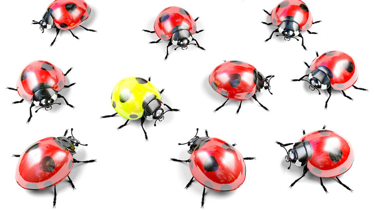 BBC Learning English - 你问我答 / Distinguished 和 distinguishable 之间的区别