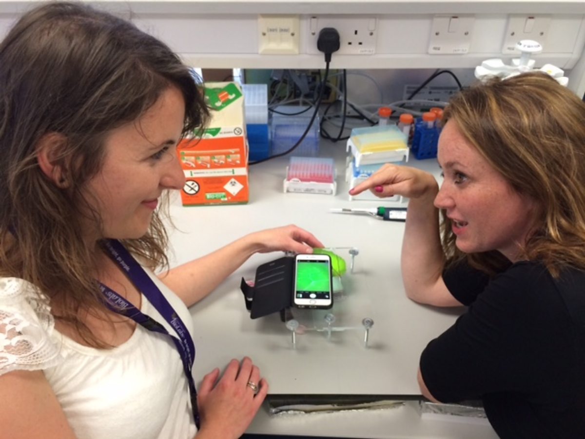 2nd level: STEM - BBC Teach