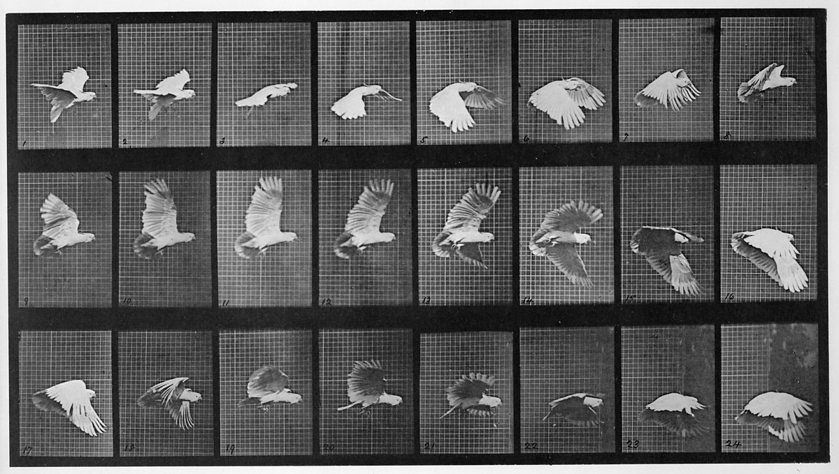 Illusion of movement - Movement - Higher Art and Design Revision - BBC ...