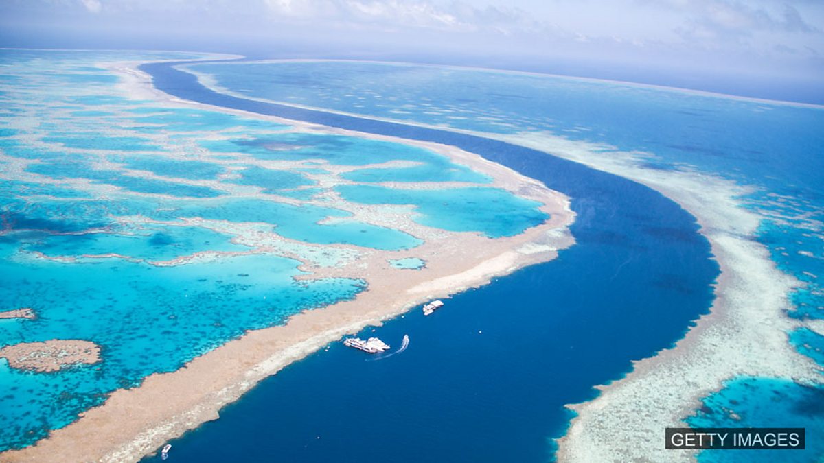 BBC Learning English - 媒体英语 / Two-thirds of Great Barrier Reef damaged in 'unprecedented ...