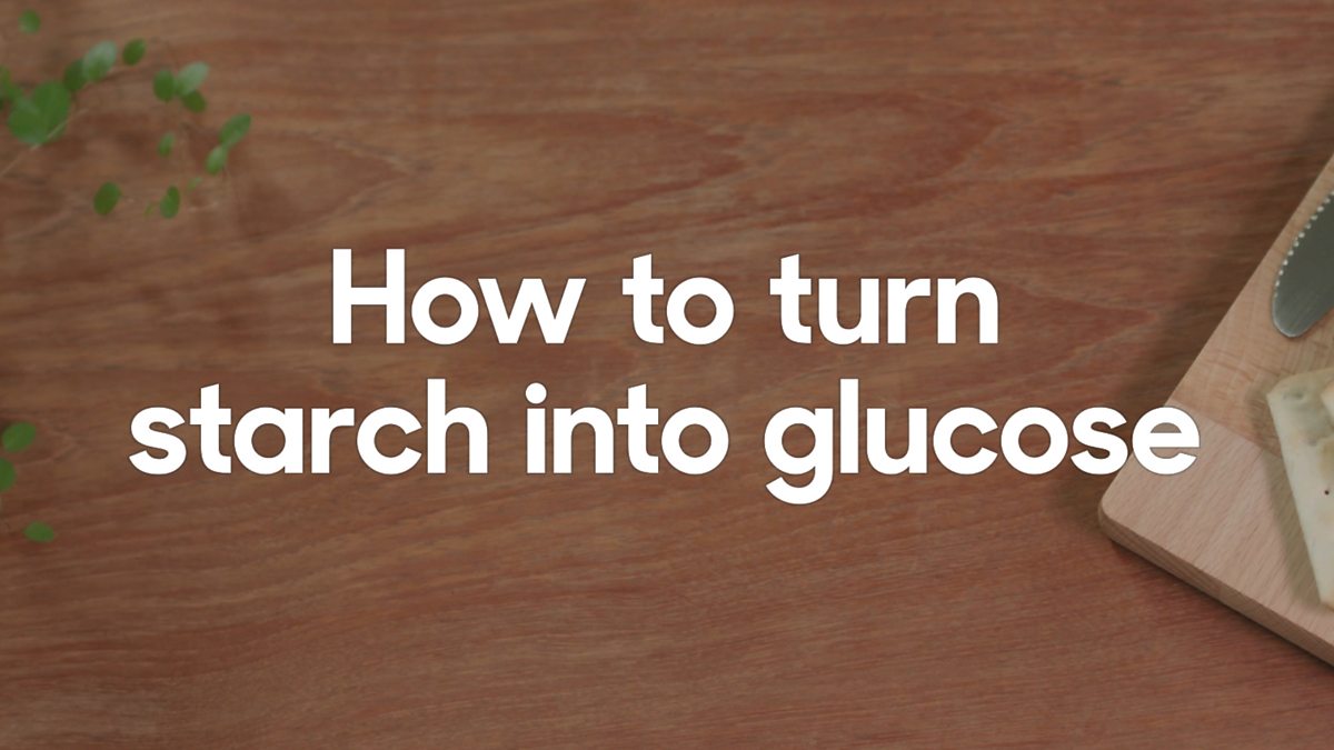 Why Do Plants Need Glucose Bbc Bitesize at Kathryn Pauline blog Why Do Plants Need Glucose Bbc Bitesize at Kathryn Pauline blog