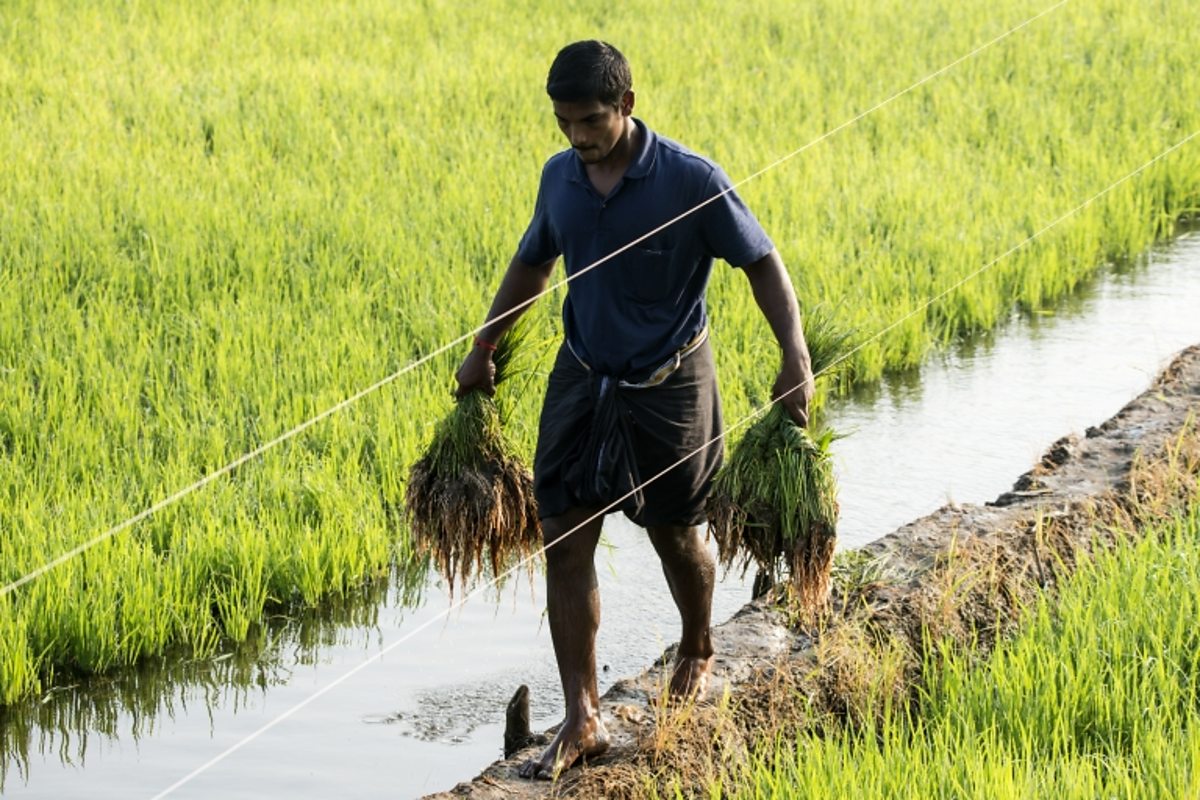 Climate change - What is the evidence for climate change? - OCR 21st ...