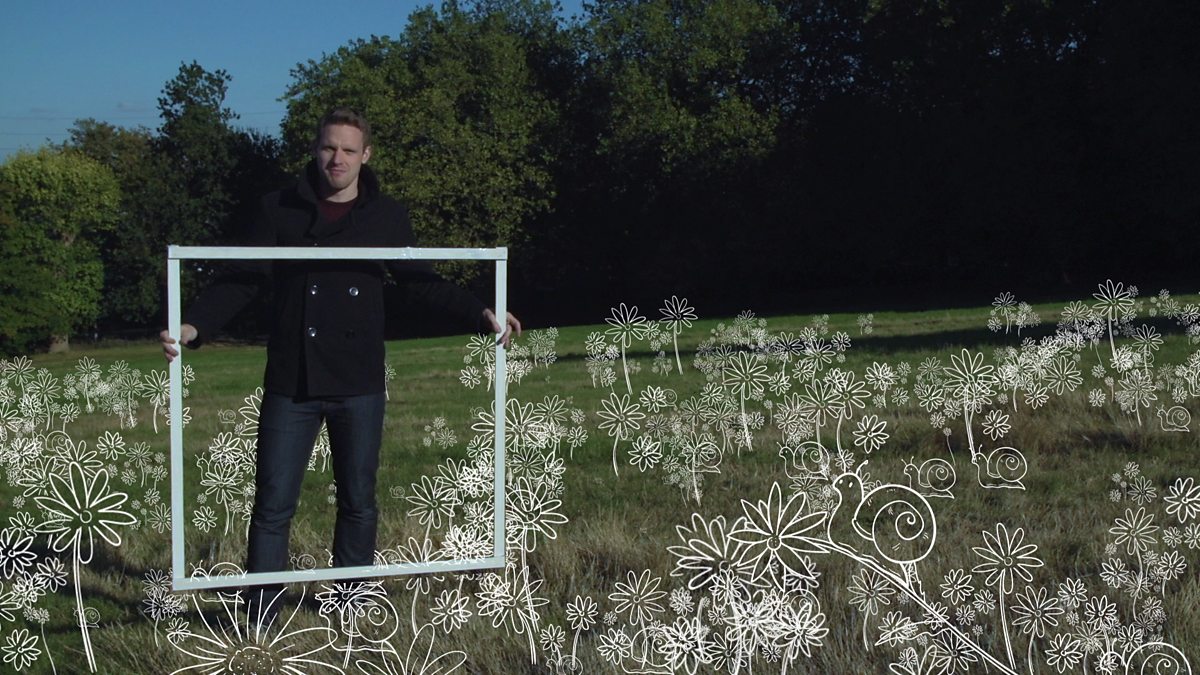 Organisation of an ecosystem - Key biology practicals: Video playlist ...