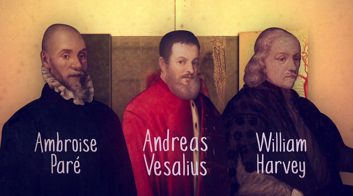 KS3 / GCSE History: Vesalius, Paré and Harvey - BBC Teach