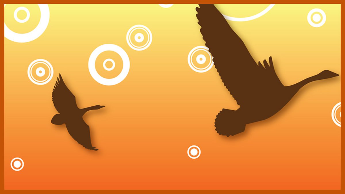 English KS1 / KS2: Tales of Hans Christian Andersen - 5. The Wild Swans ...