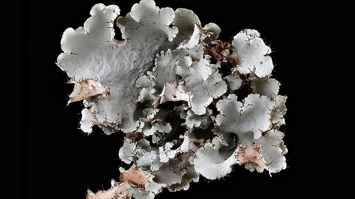 How materials are cycled in an ecosystem - Natural cycles and ...