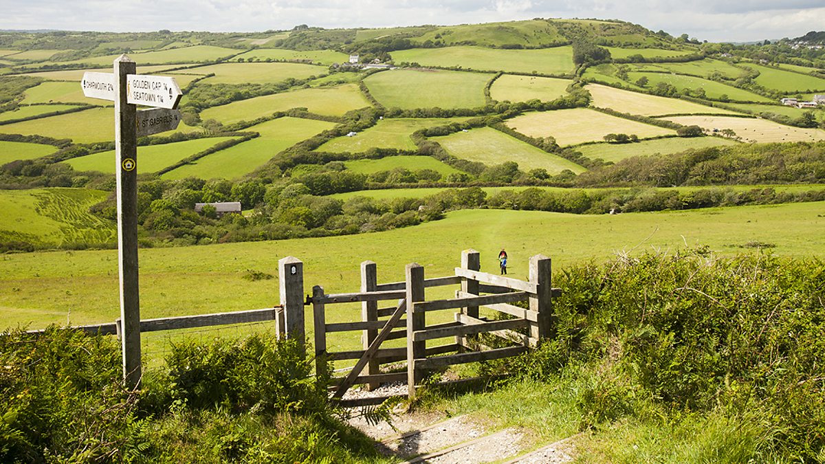 Biodiversity - Monitoring and maintaining the environment - OCR Gateway ...