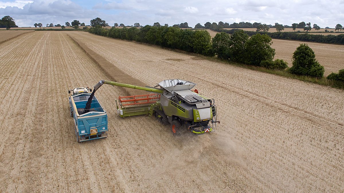 The process of genetic engineering – Higher - Feeding the human race ...