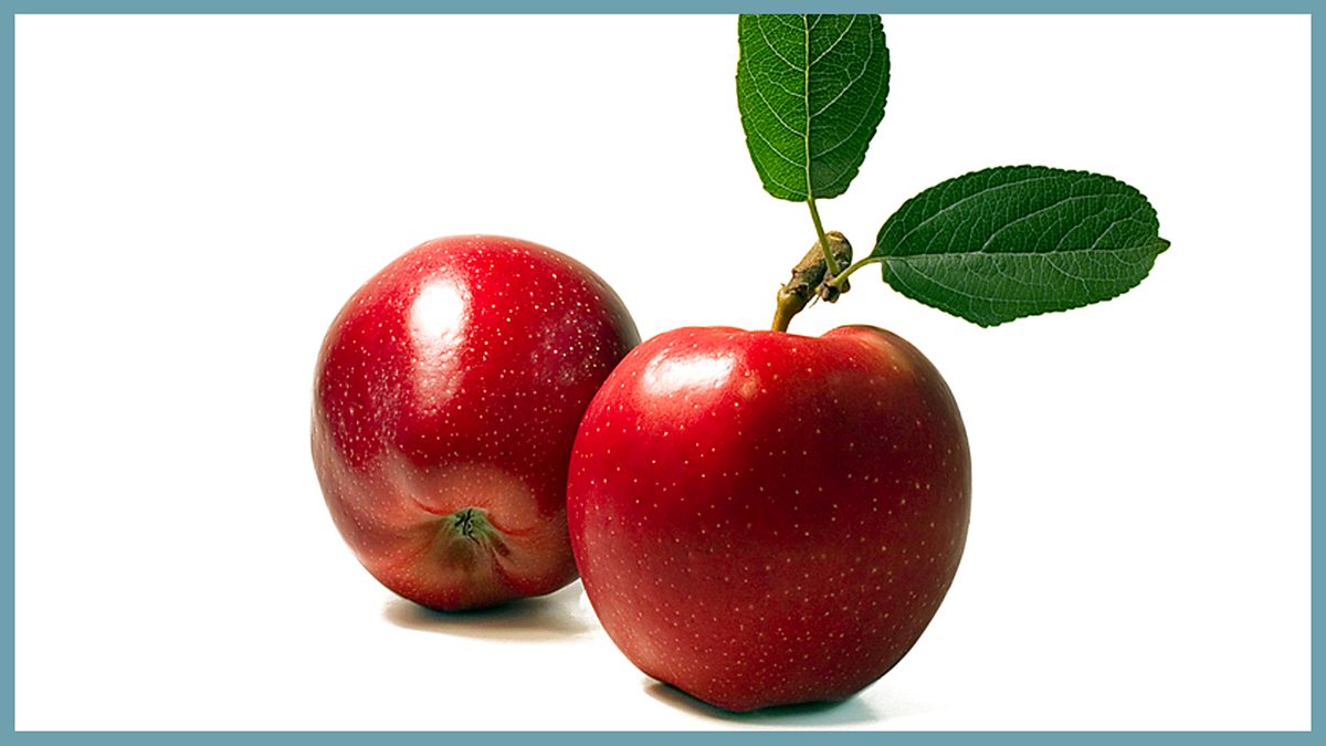 EYFS. Playtime - Apple - BBC Bitesize