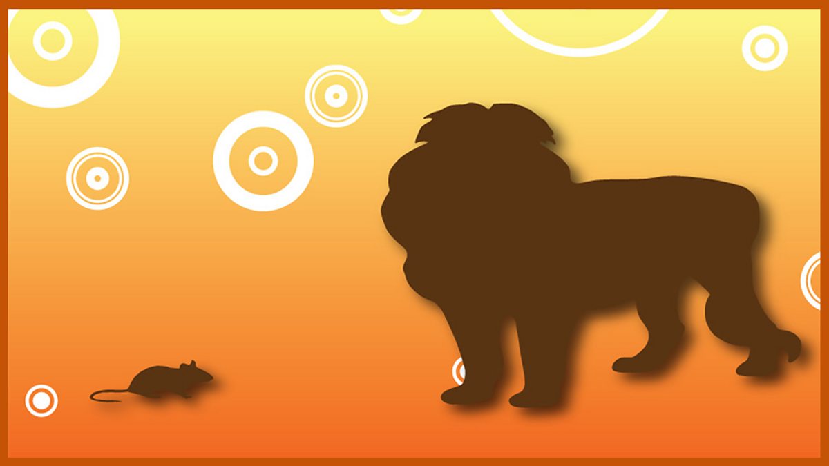 English KS1/KS2: Aesop's Fables -17. The Lion and the Mouse - BBC Teach