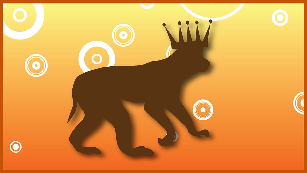 English KS1/KS2: Aesop's Fables - 4. The Monkey as King - BBC Bitesize
