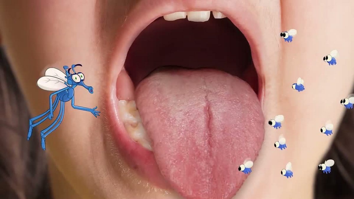 How Does Human Taste Work BBC Bitesize