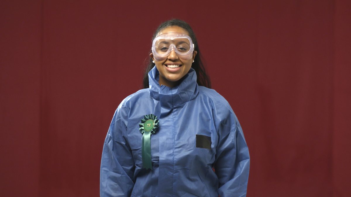 Apprenticeships and work - BBC Bitesize