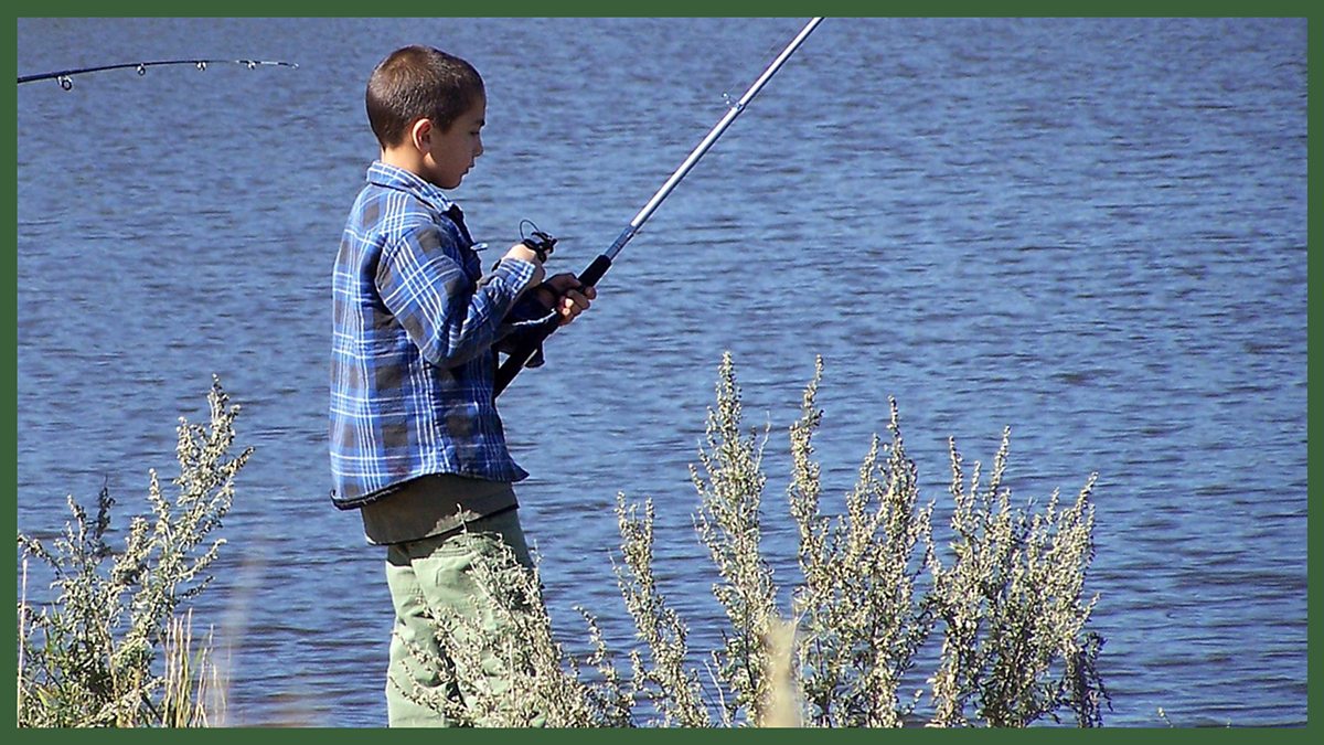 KS2 PSHE: Have Your Say! 6: The environment - BBC Teach