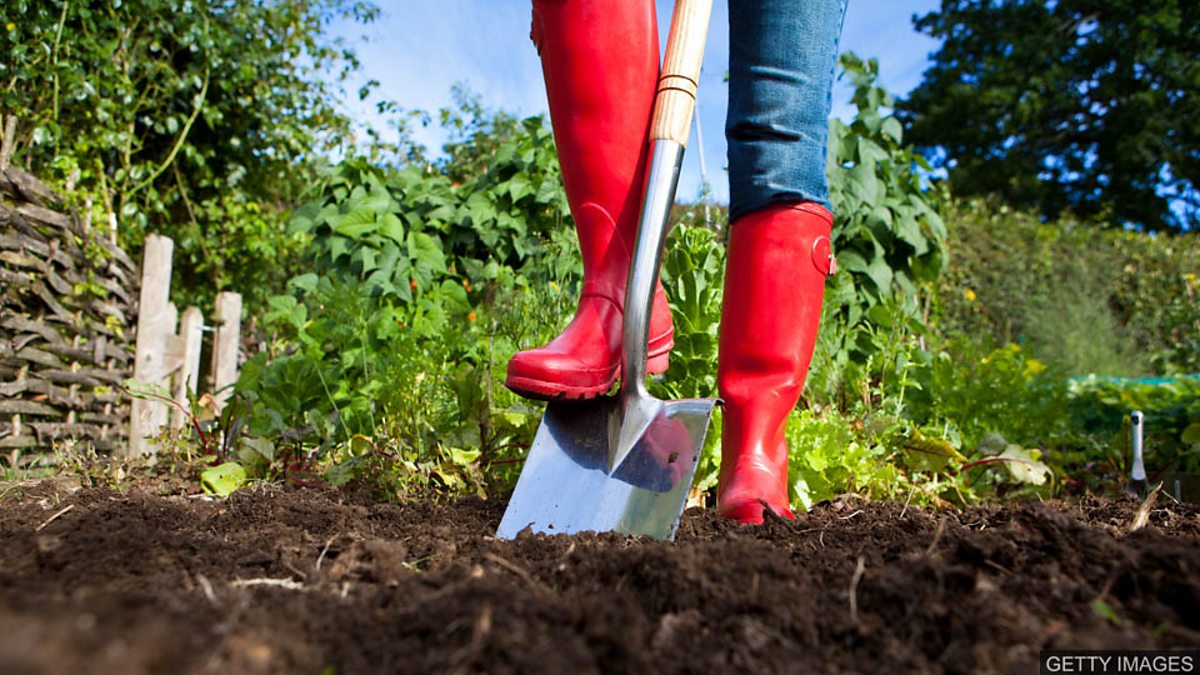 BBC Learning English - 今日短语 / Call a spade a spade 实话实说