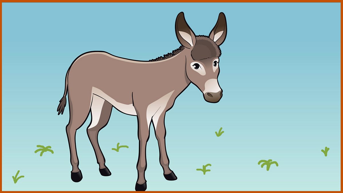 No one talks to a donkey - BBC Teach