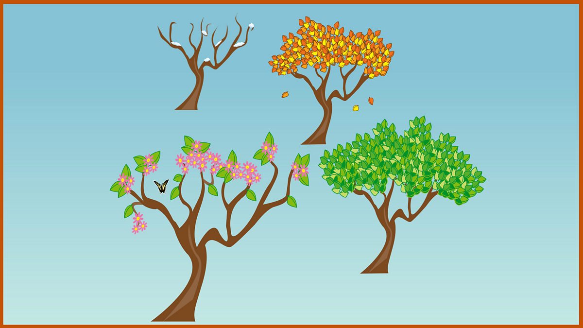 Nature Explorers - BBC Bitesize