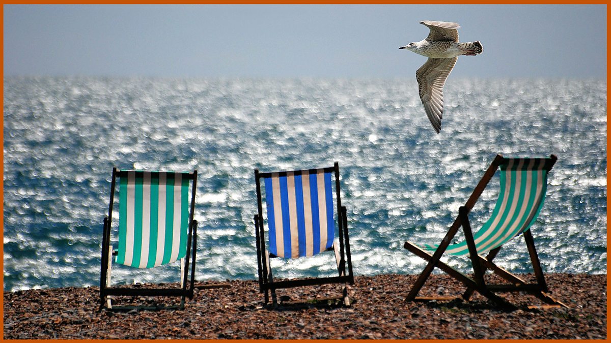 The seagull - BBC Teach