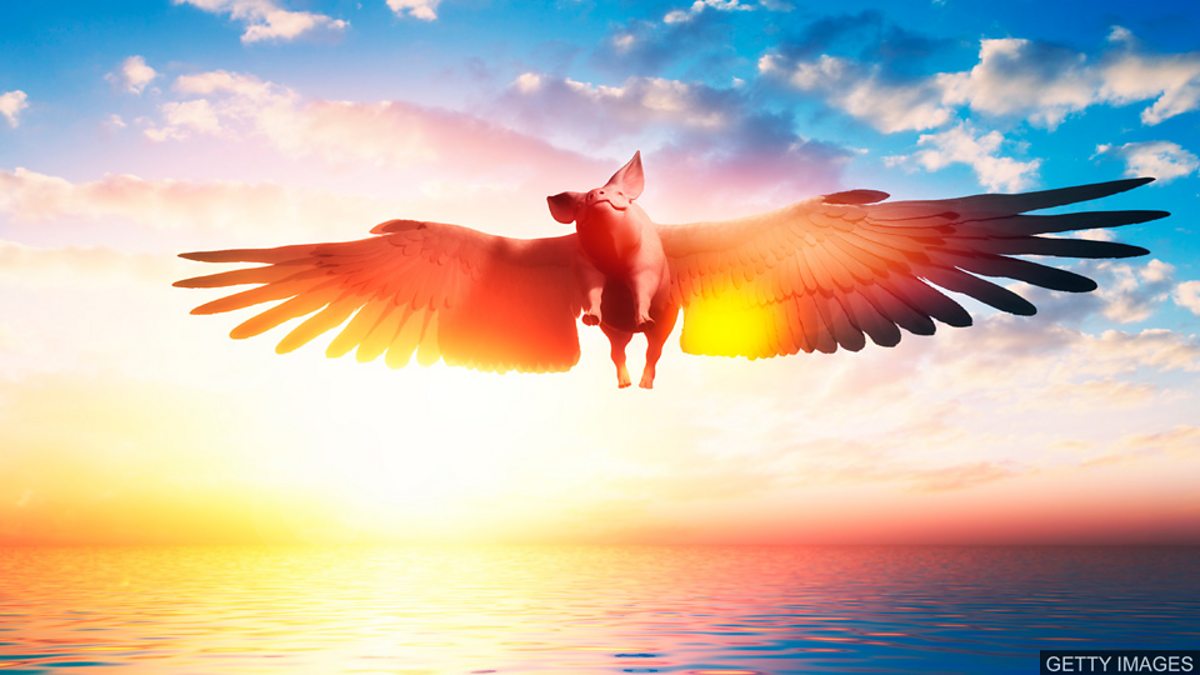 BBC Learning English - Advanced English Phrases / Pigs might fly!