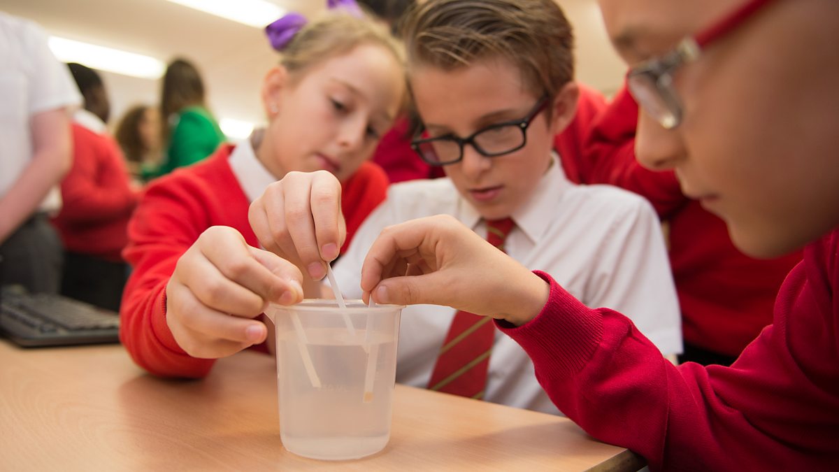 Facebook Live: What is the Point of Primary Science? - BBC Teach