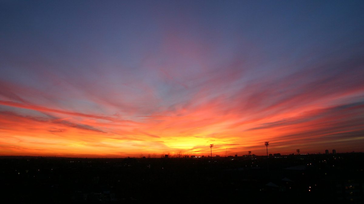 Can you bust these urban myths? - BBC Bitesize