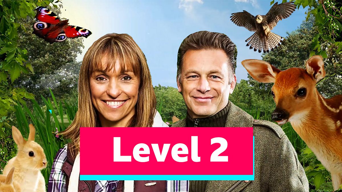 Just for Fun: Springwatch Level Two - BBC Teach
