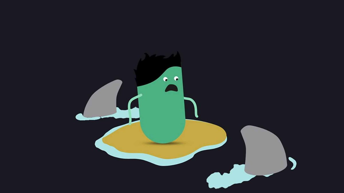 Why do we take risks? - BBC Bitesize