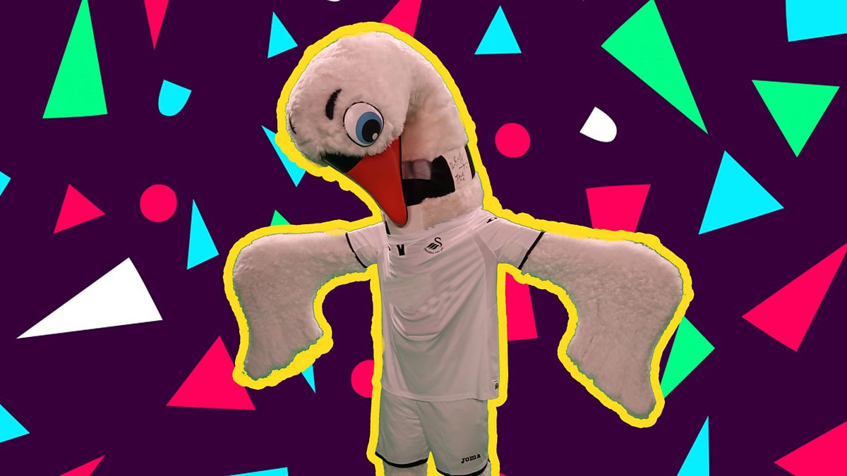 KS1 Maths The 4 Times Table With Cyril The Swan BBC Teach