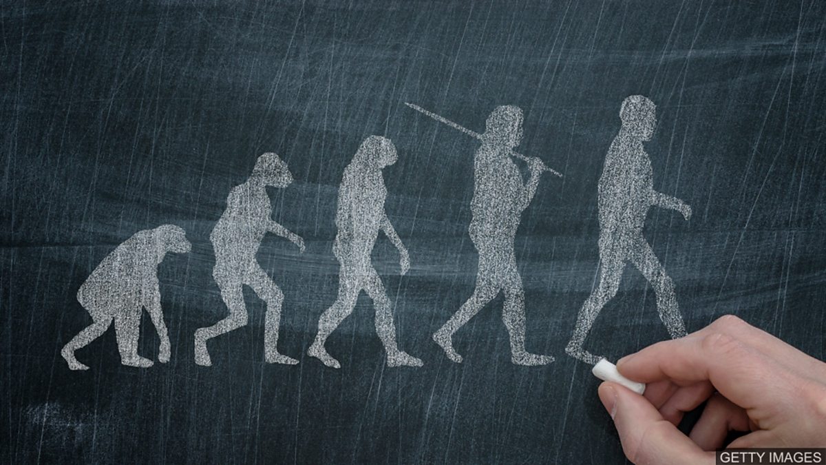 BBC Learning English - 你问我答 / Human, humankind, people, humanity 用英语说 “人”