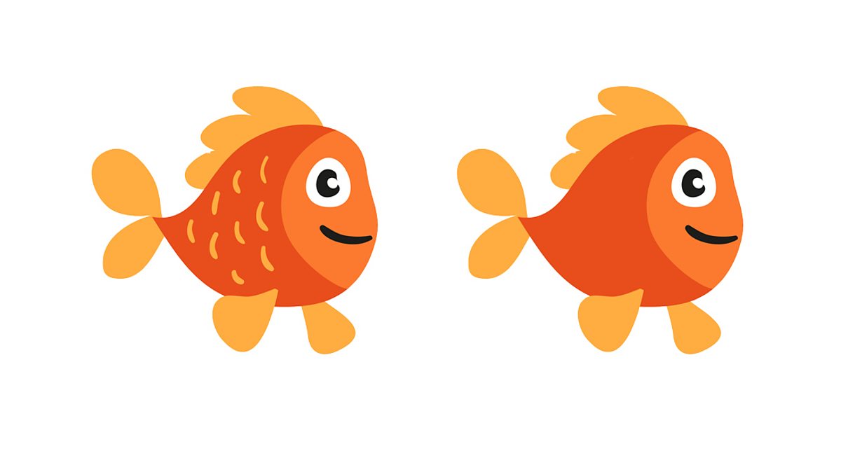 Sorting, Patterns and Relationships - BBC Bitesize