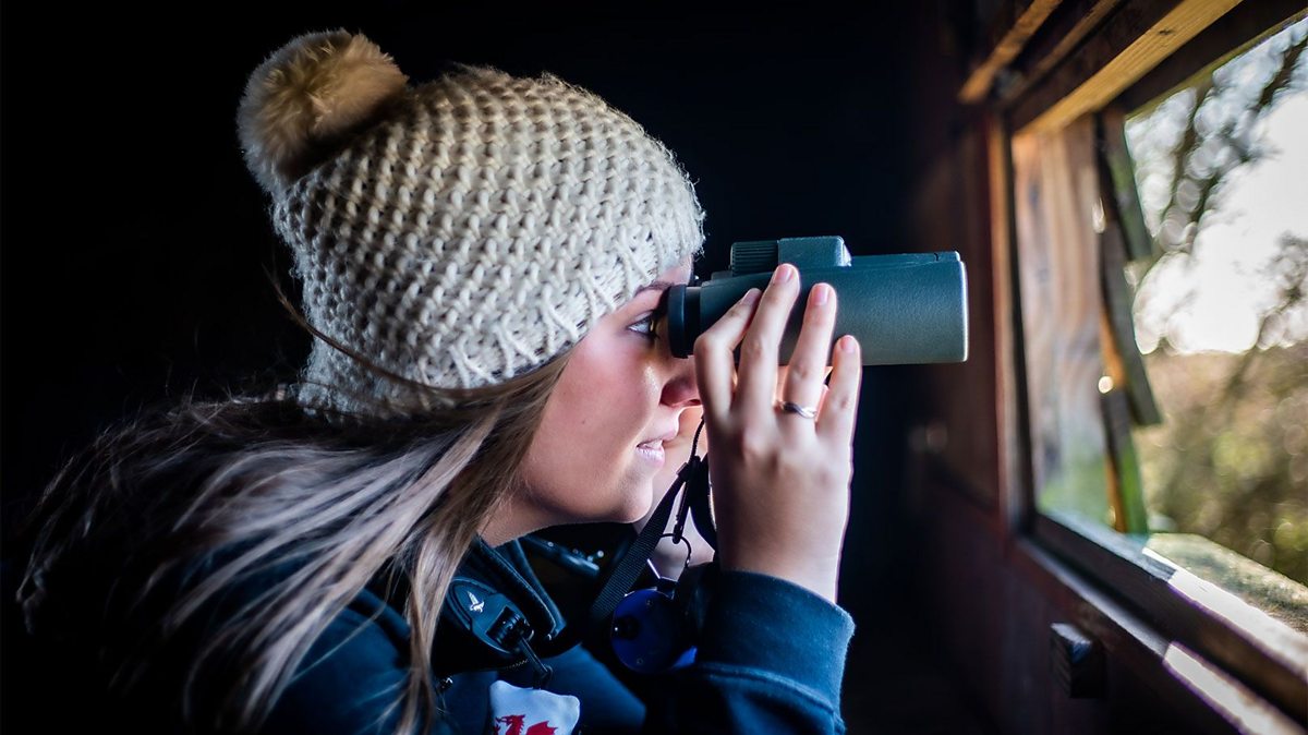 How to become an ornithologist: Dan's story - BBC Bitesize