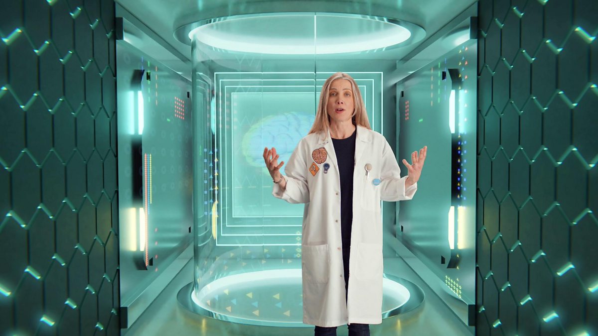 The Brain House - BBC Teach