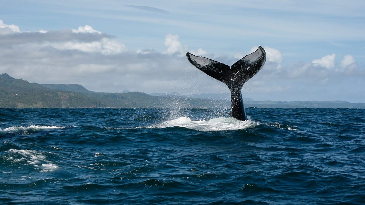 Songs from the Silver Banks - BBC Archive