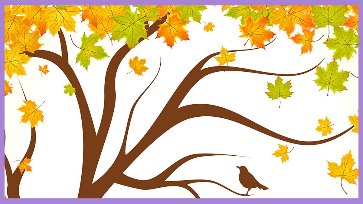 Autumn. 3: Autumn weather - BBC Teach