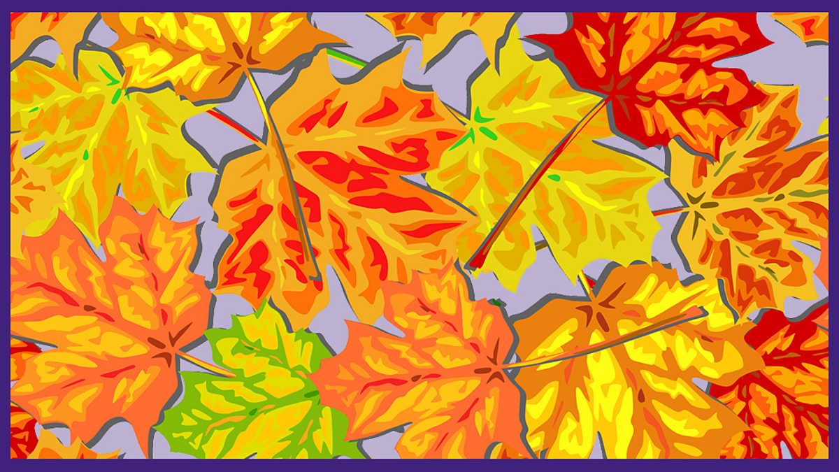 Changing weather. 2: Autumn dance - BBC Teach
