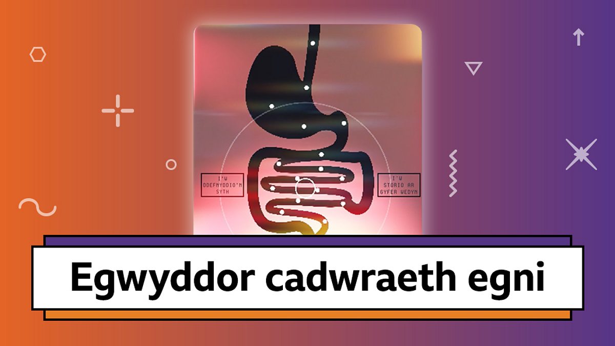Cynnwys y tymor hwn - Casgliad Ffiseg - Cyfnod Allweddol 3 - BBC Bitesize