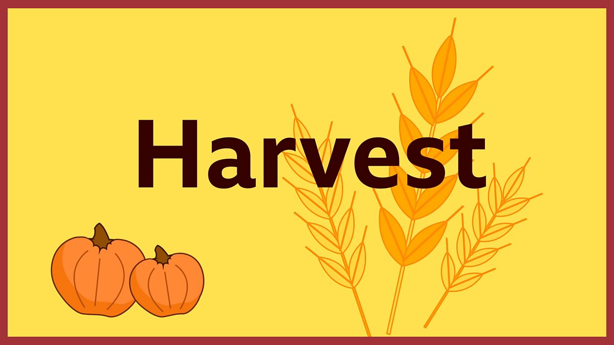 Harvest - BBC Teach