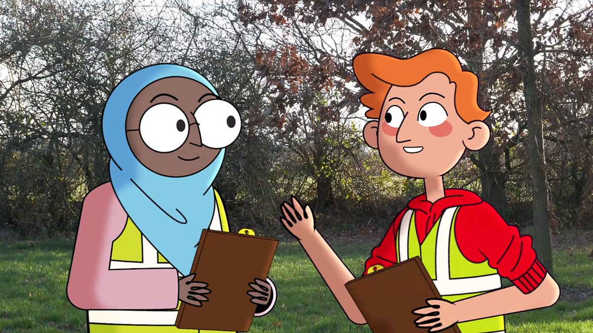 How do you research a fieldwork investigation? - BBC Bitesize